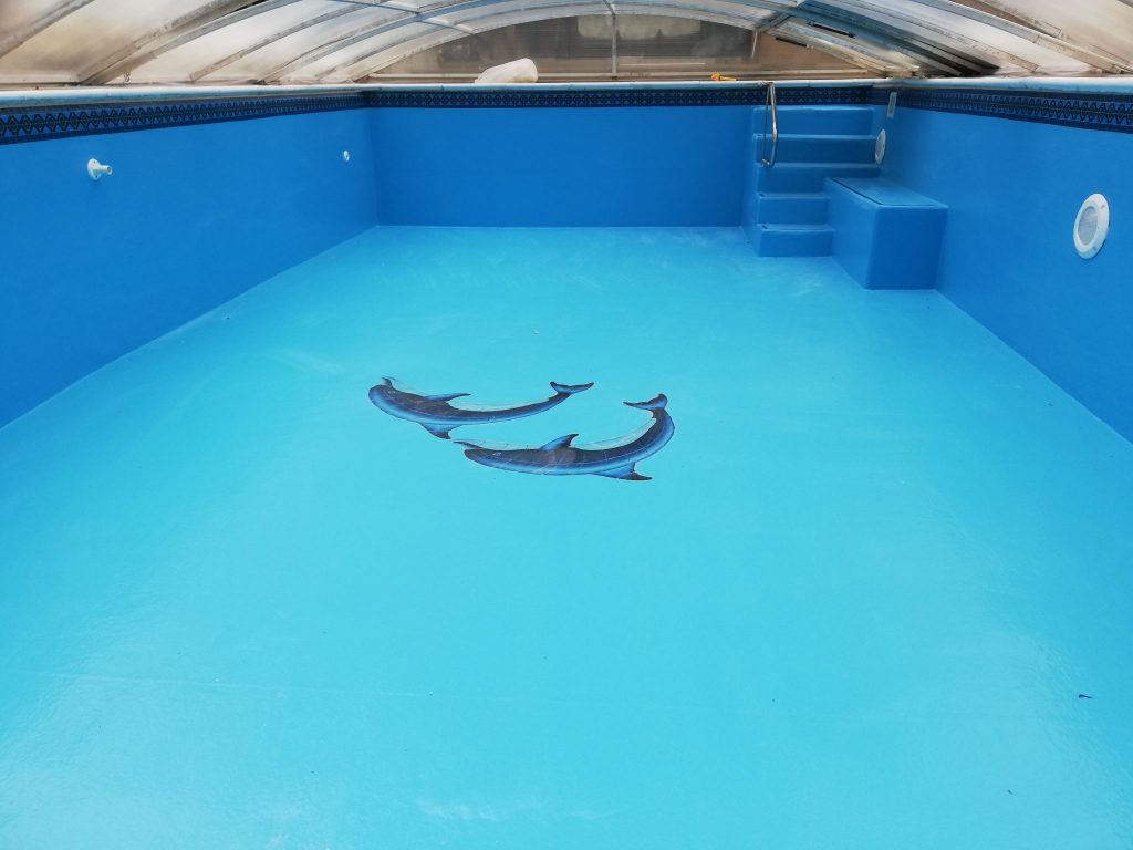 Specialists In Fibreglass Swimming Pool Linings | Fibreglass swimming ...